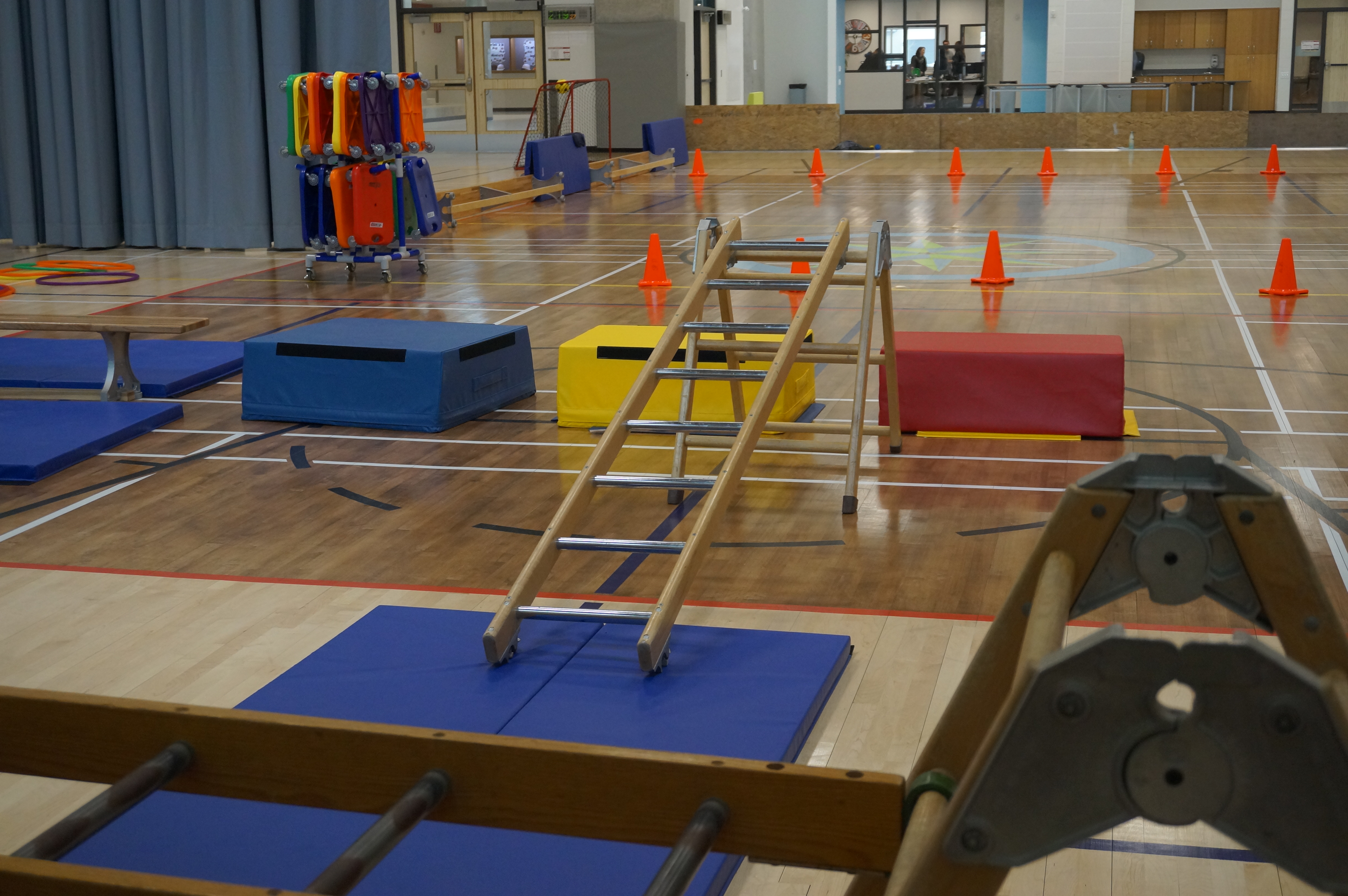 Fun in the Gym!