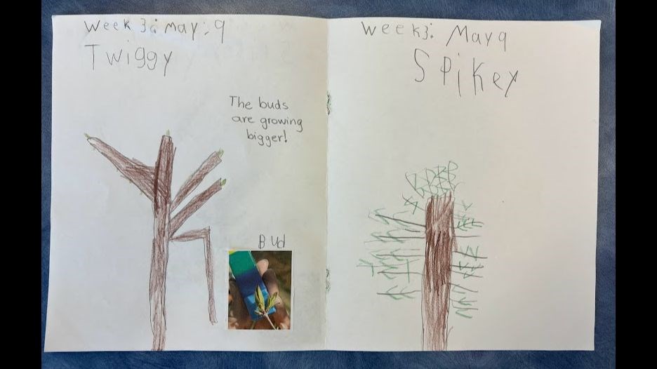 Igniting Curiosity in our Natural Environment!
