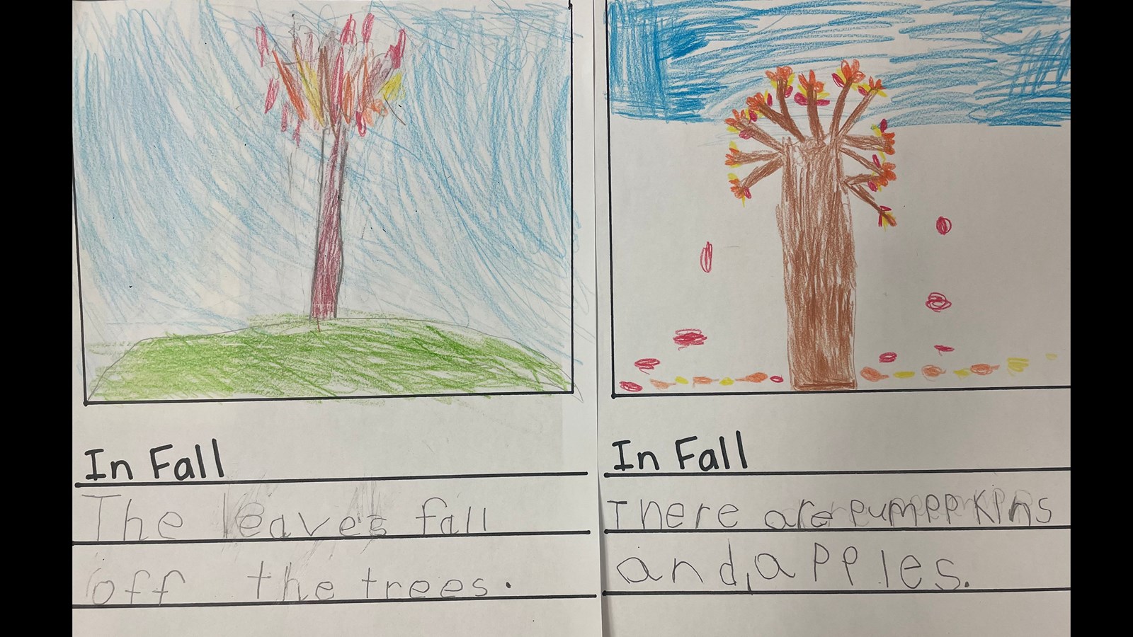 All About Fall! in Ms. Cailea's Class