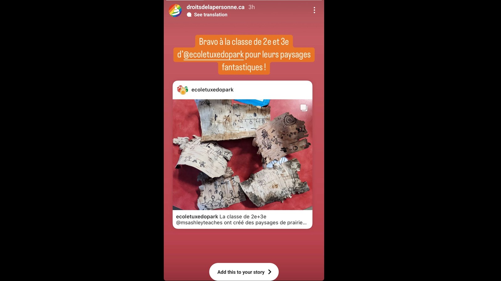 Grade 2 having fun with tree bark