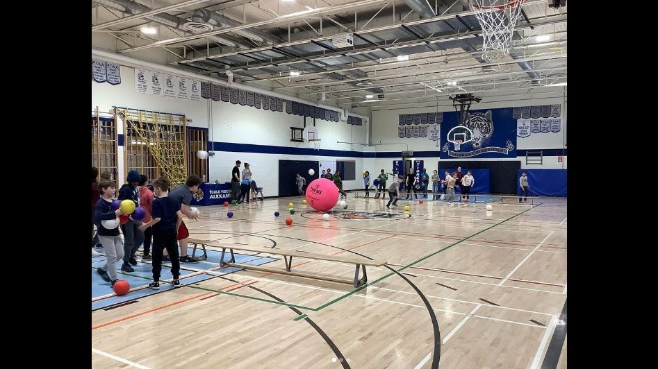 Thanks To Our Phys-Ed Teachers For Giant Dodgeball Gym Class!