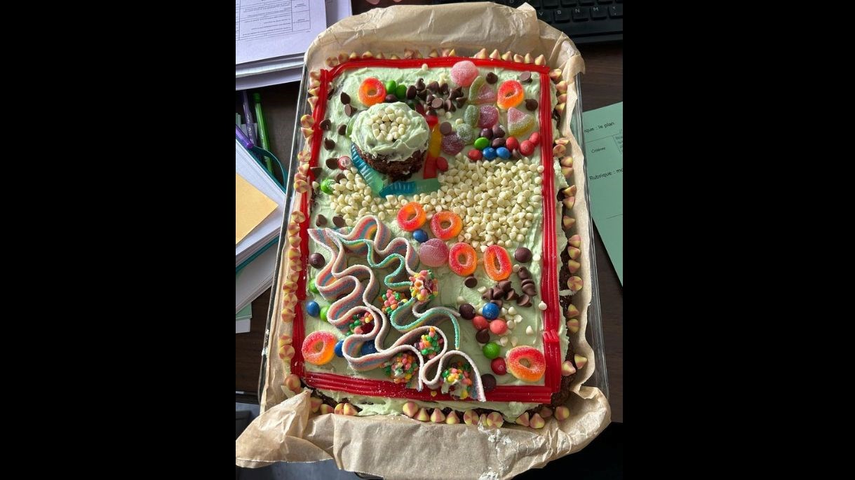 Unique And Delicious Cell Models Were Created At EVA