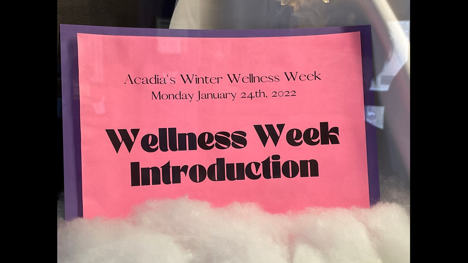 Acadia Junior High hosts their second annual Wellness Week