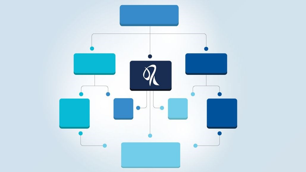 Divisional Re-organization