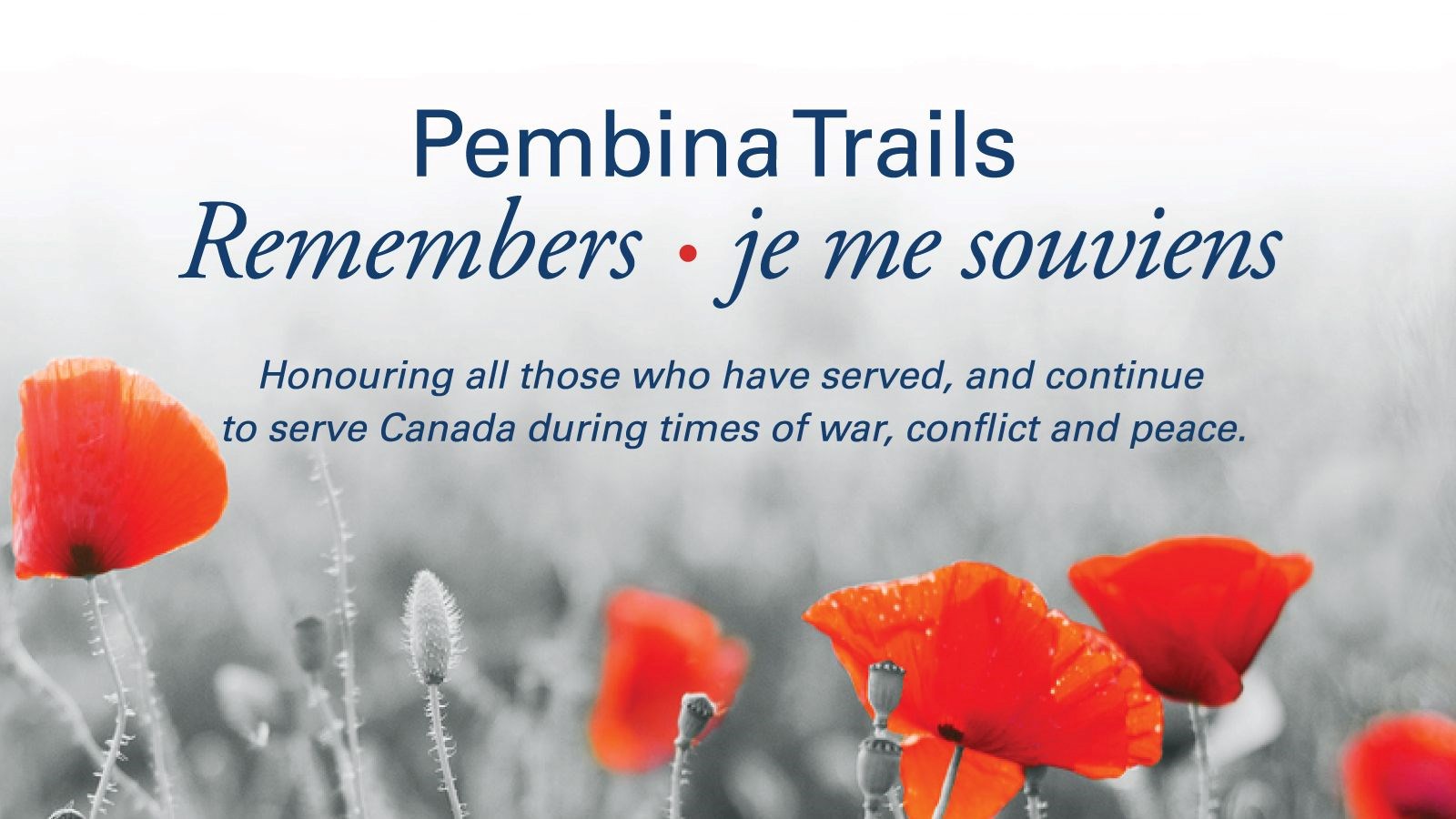 Canada honours its fallen - Remembrance Day 2023